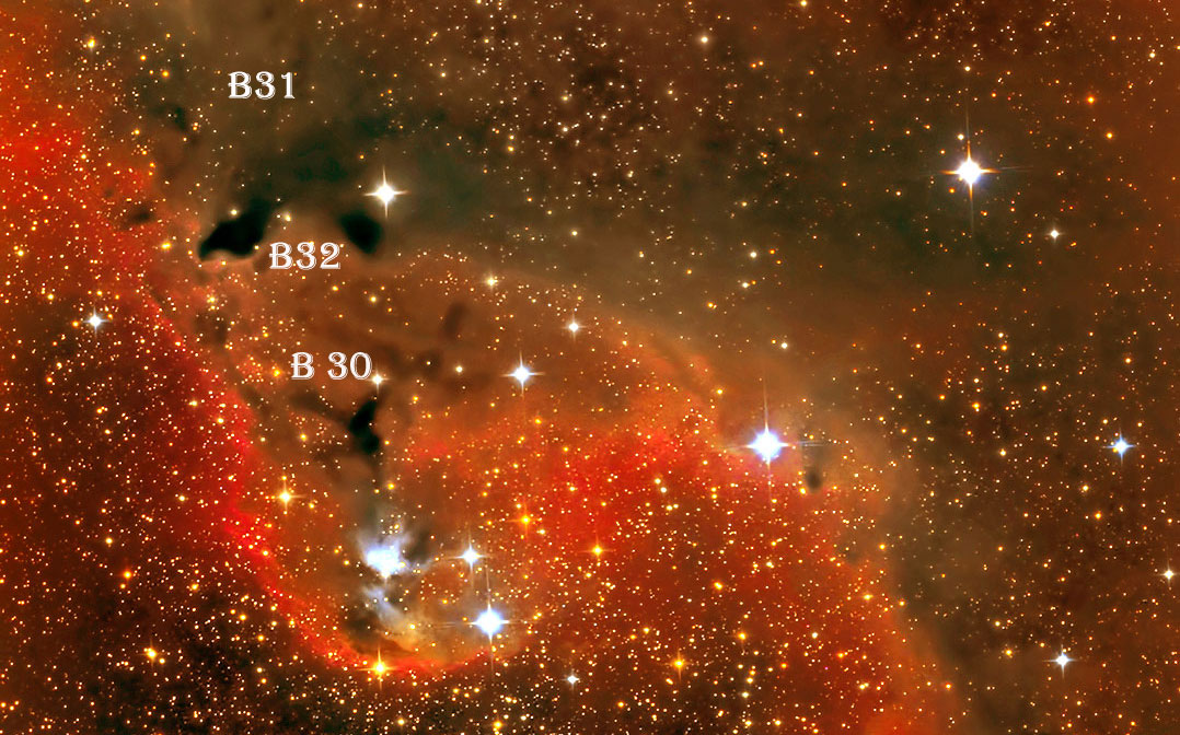 ASTRONOMIA DE YAVE-BARNARD'S CATALOGUE OF DARK AND MOLECULAR CLOUDS ...