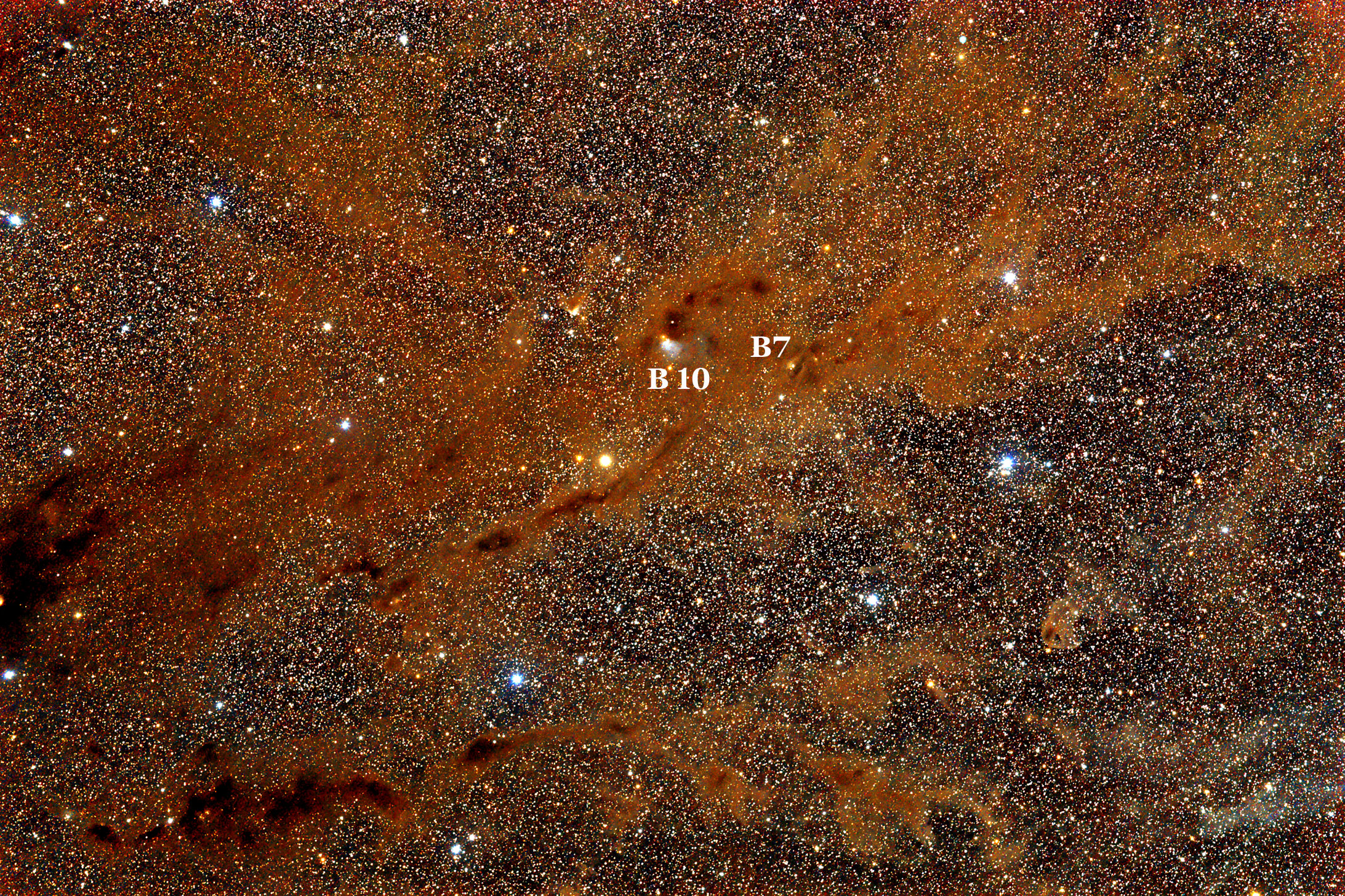 ASTRONOMIA DE YAVE-BARNARD'S CATALOGUE OF DARK AND MOLECULAR CLOUDS ...